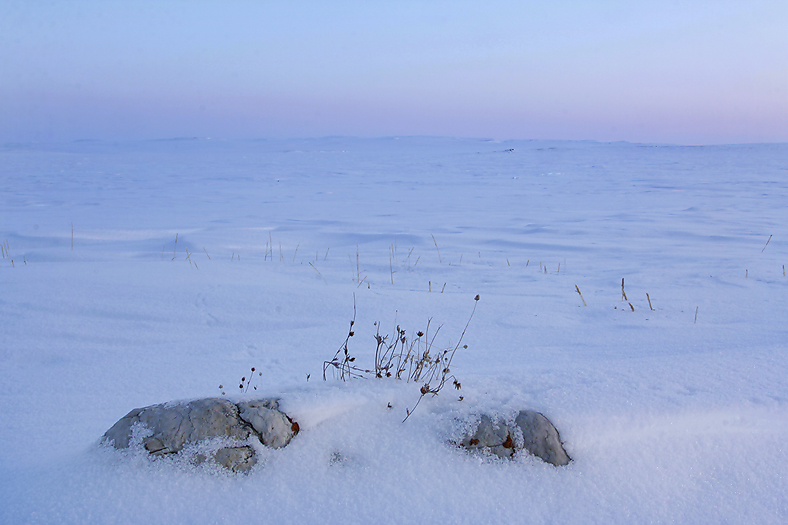Ice & Snow