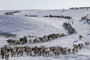 The nomads of Siberia