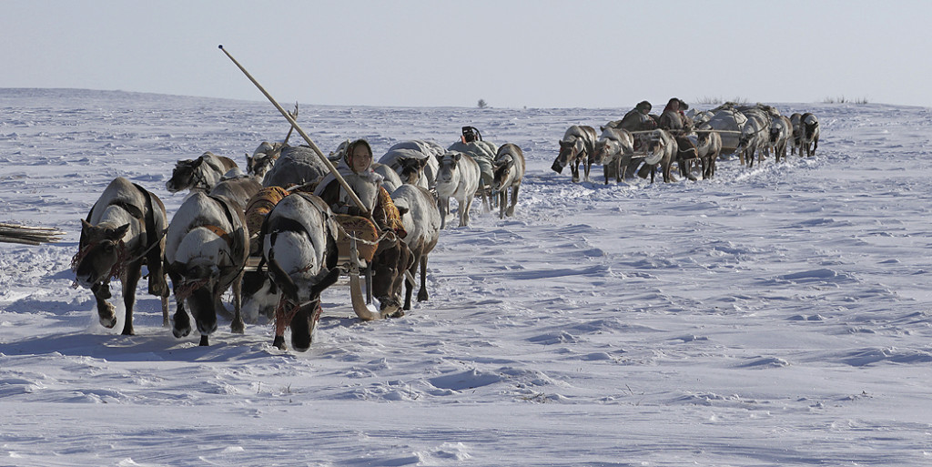 The nomads of Siberia