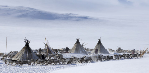 The nomads of Siberia