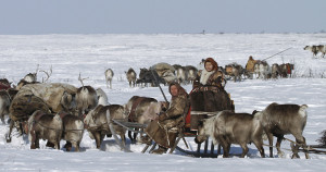 The nomads of Siberia